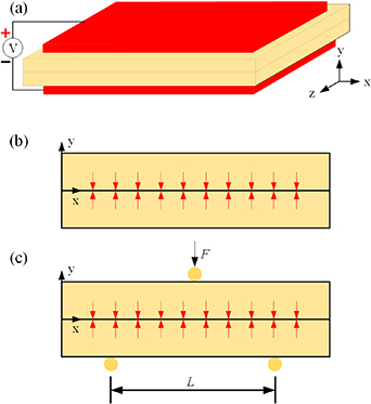 On variable stiffness of flexible parallel electroadhesive structure